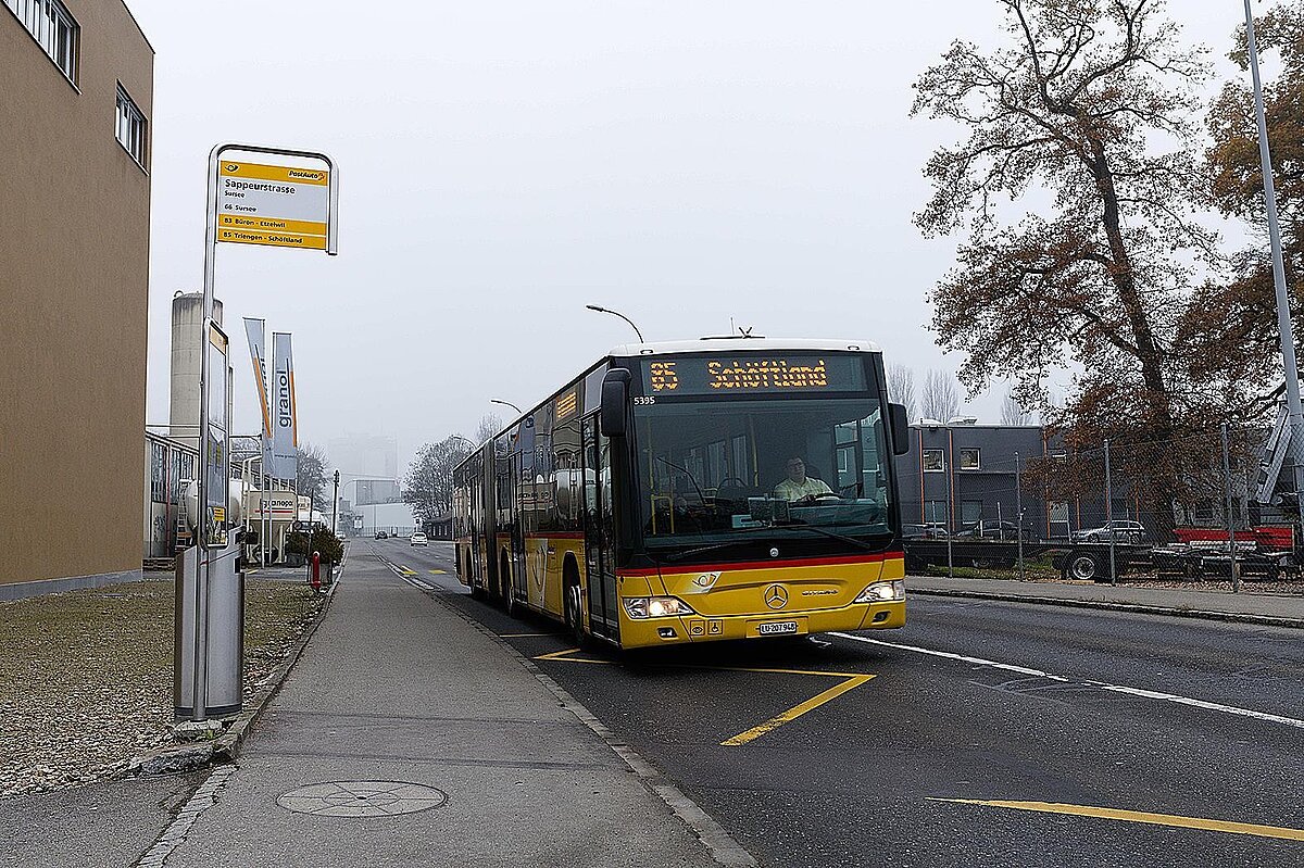 Von Radial- zu Durchmesserlinien